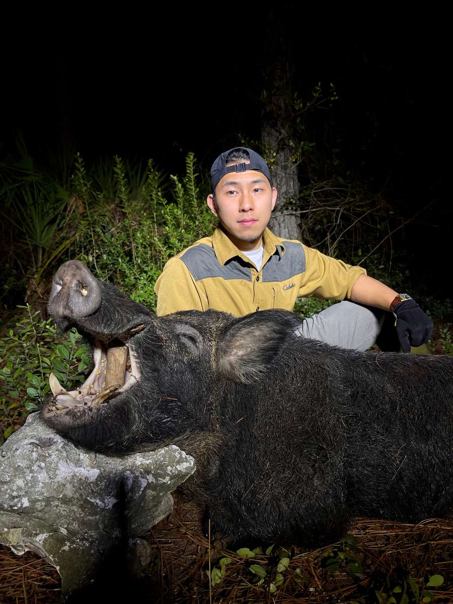 Black Tine Outfitters Wild Hog Hunting Photo Gallery