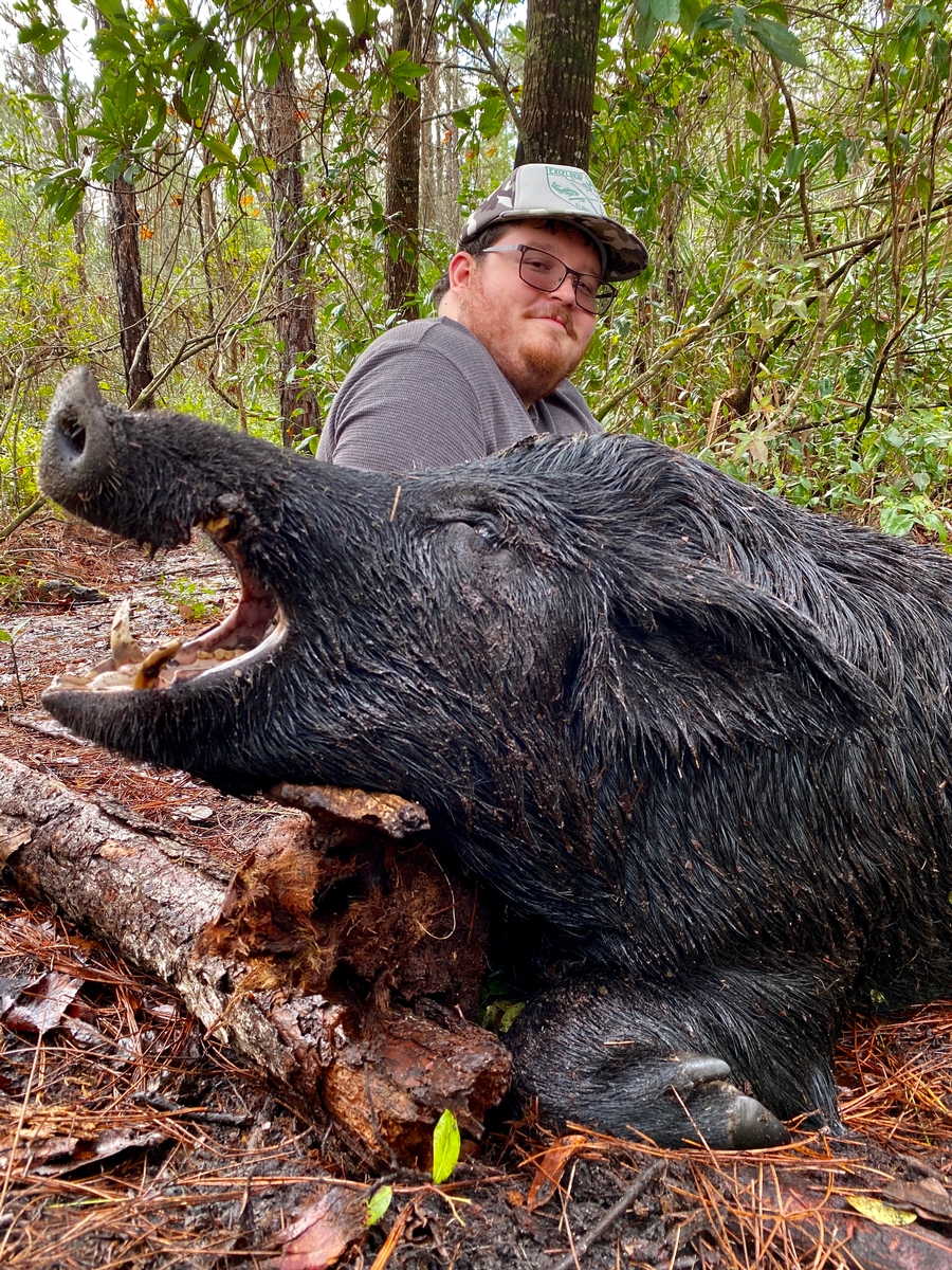 Page 2/5 - Black Tine Outfitters Wild Hog Hunting Photo Gallery