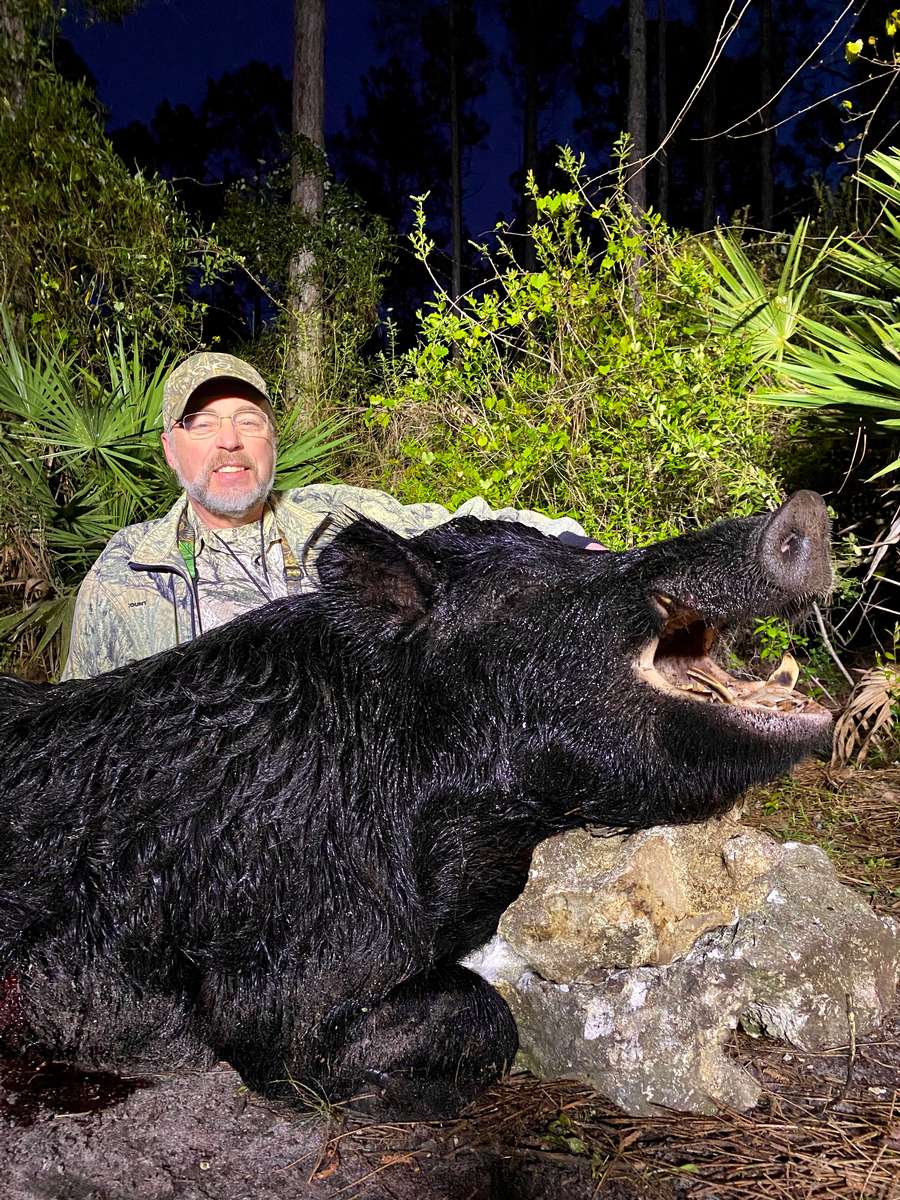 Black Tine Outfitters Wild Hog Hunting Photo Gallery